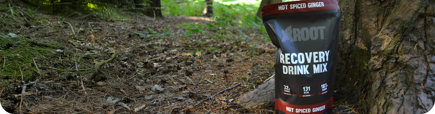 Articles - Discovery Hub – Active Root